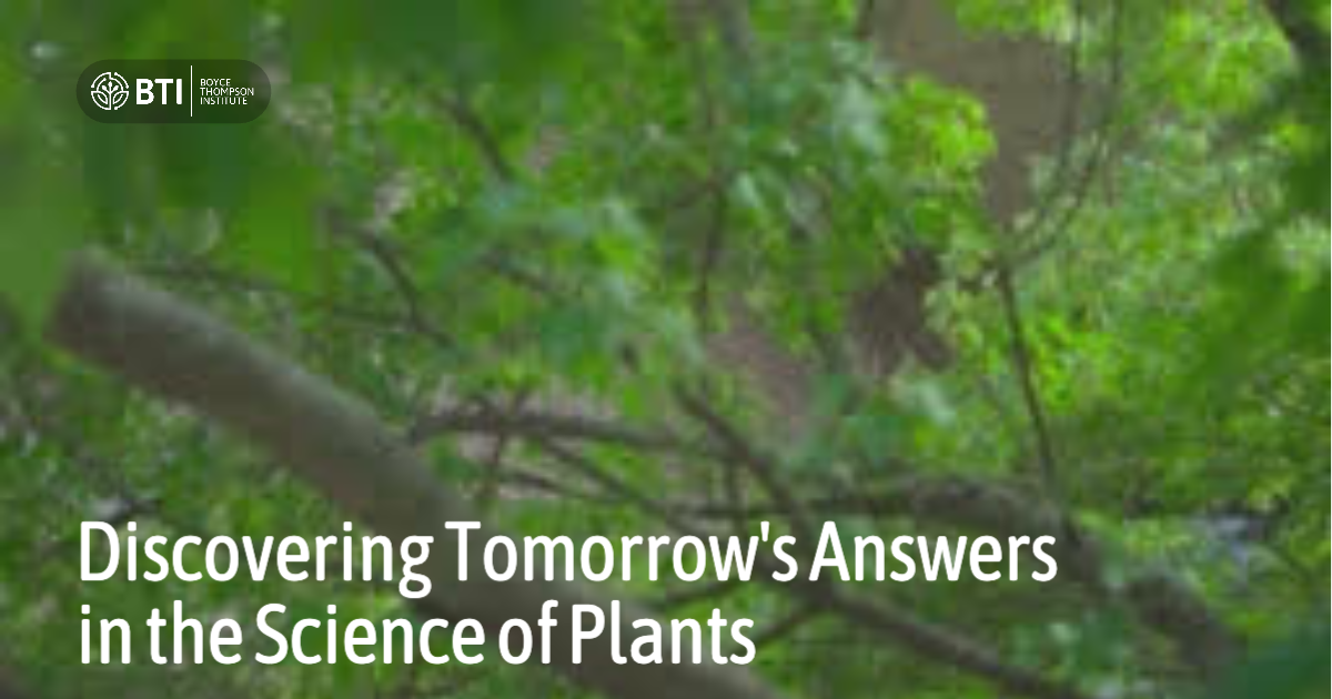 Boyce Thompson Institute